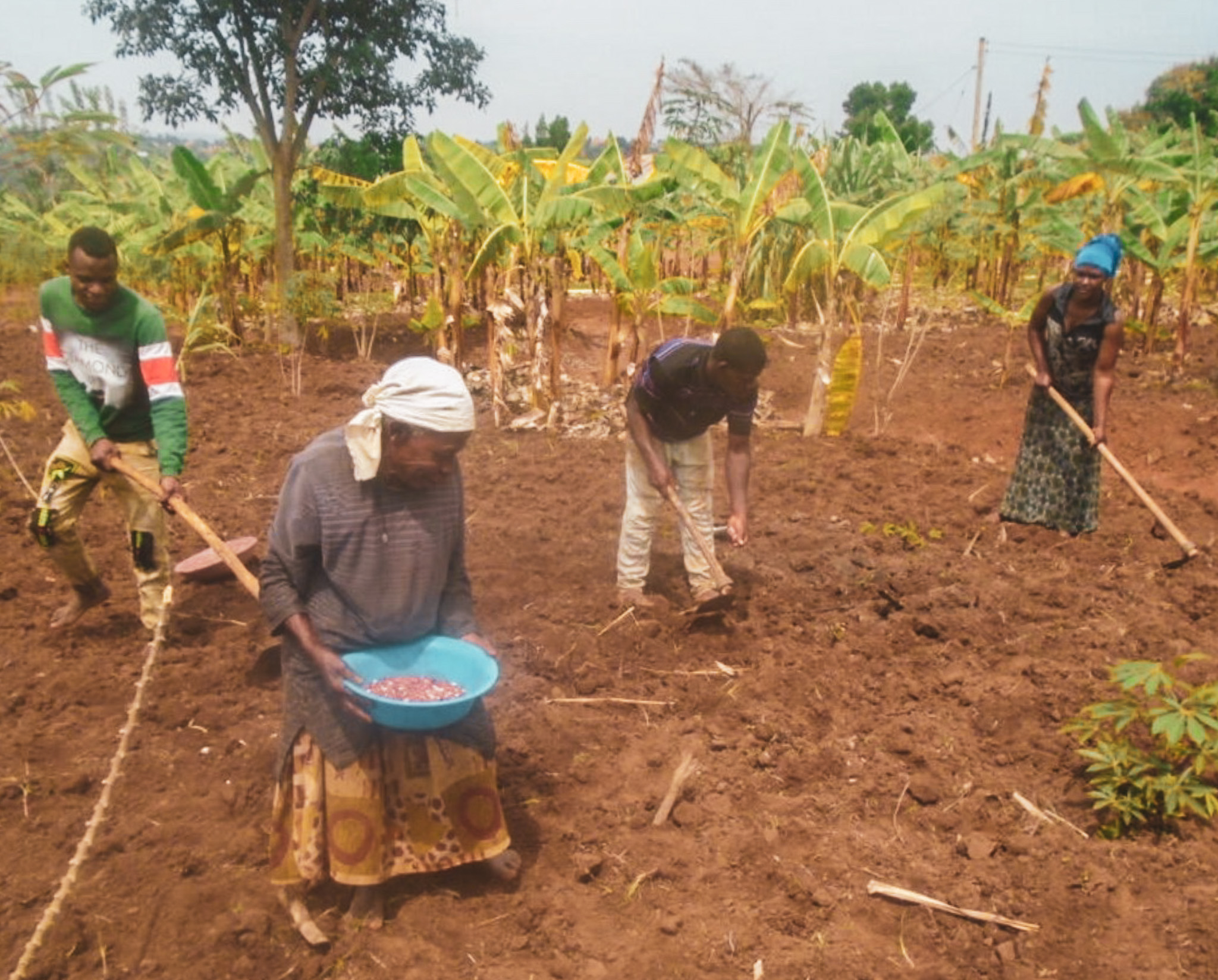 Farming Tools | ECM Africa